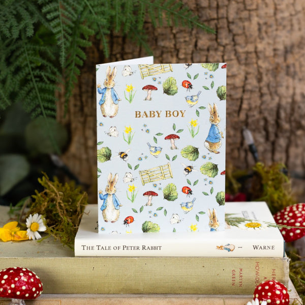 Baby Boy (Peter Rabbit) Card (Cello-Free) – Toasted Crumpet