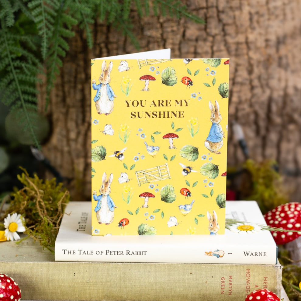You Are My Sunshine (Peter Rabbit) Card (Cello-Free) – Toasted Crumpet
