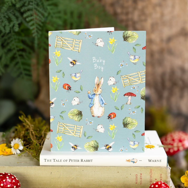 Baby Boy (Peter Rabbit) Card (Cello-Free) – Toasted Crumpet