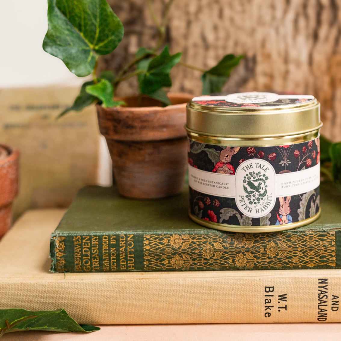 NEW! Peter Rabbit "Bramble & Wild Botanicals" Candle in a Matt Gold Ti ...