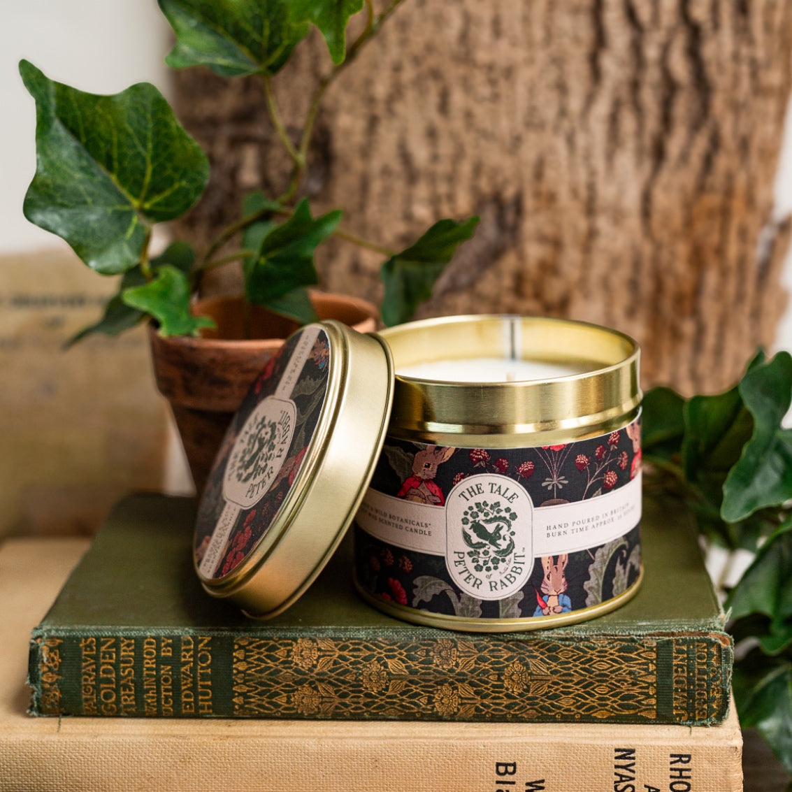 NEW! Peter Rabbit "Bramble & Wild Botanicals" Candle in a Matt Gold Ti ...